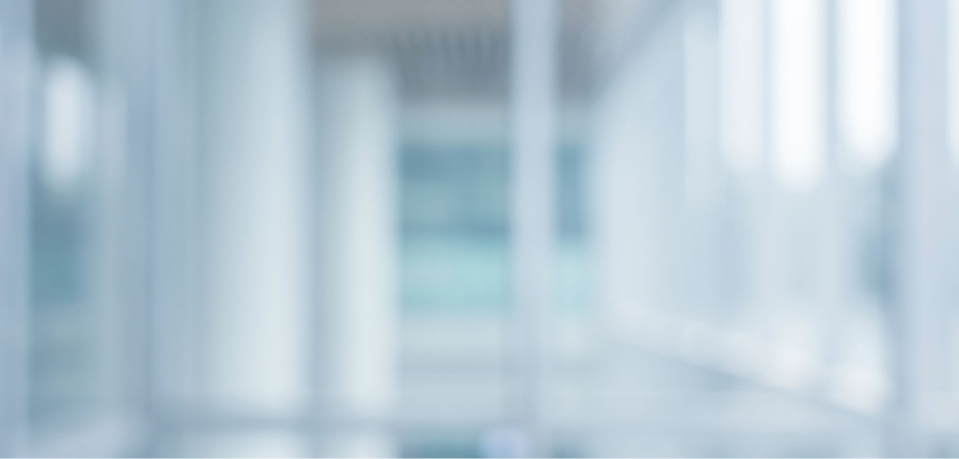 Bullen Brands - The Bullen Companies